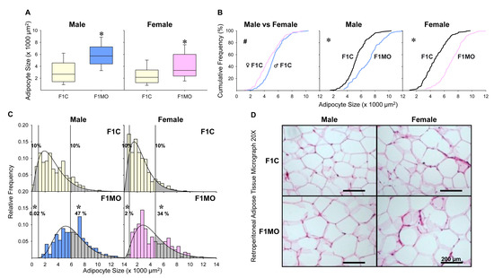 Programming Mechanism of Adipose Tissue Expansion in the Rat Offspring ...