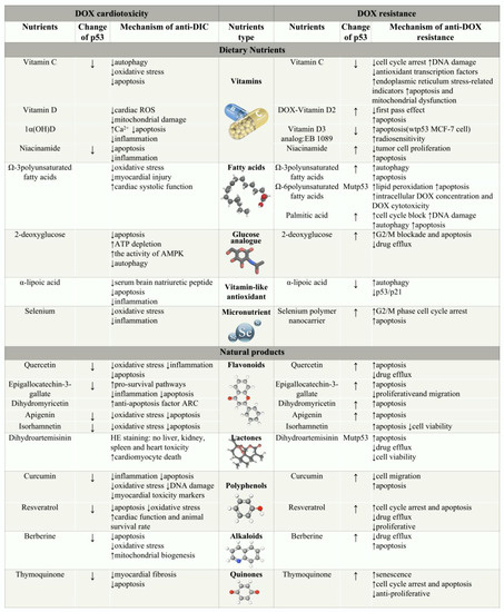 p53 at the Crossroads between Doxorubicin-Induced Cardiotoxicity and ...