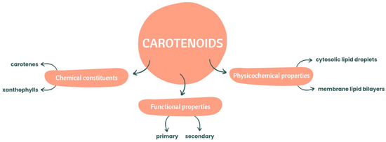 Carotenoids Diet: Digestion, Gut Microbiota Modulation, and Inflammatory Diseases