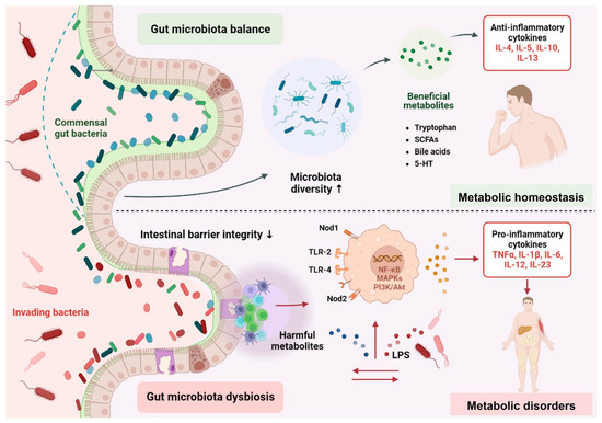 Intermittent Fasting and Physical Exercise for Preventing Metabolic Disorders through ...