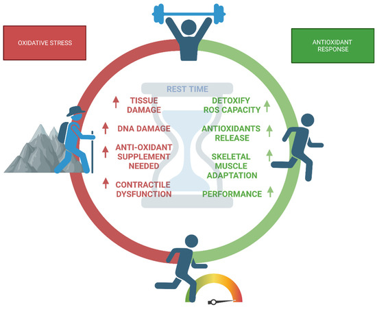Antioxidants and Sports Performance