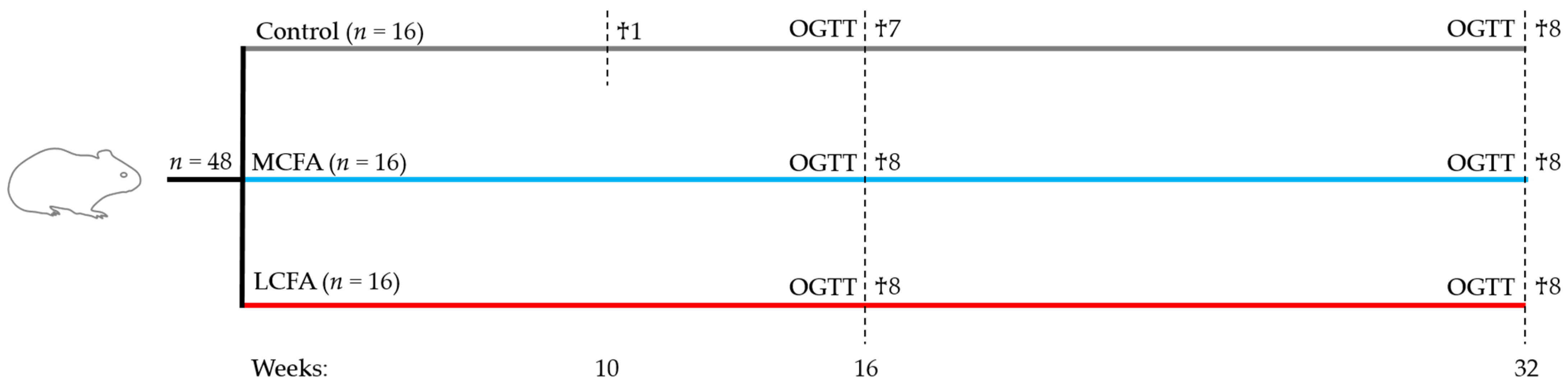 Nutrients | Free Full-Text | Dietary Long-Chain Fatty Acids Accelerate ...