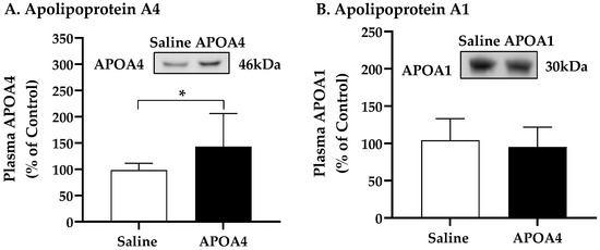 Apolipoprotein A4 Elevates Sympathetic Activity and Thermogenesis in ...