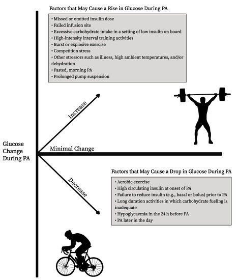 An Overview of Diet and Physical Activity for Healthy Weight in ...