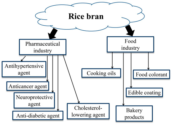 Rice Bran: From Waste to Nutritious Food Ingredients