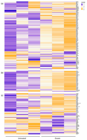 Improving the Antitumor Effect of Chemotherapy with Ocoxin as a Novel ...