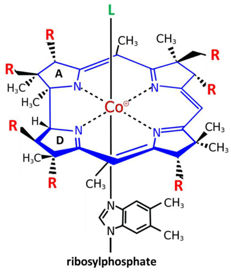 Clinical Pathobiochemistry of Vitamin B12 Deficiency: Improving Our ...