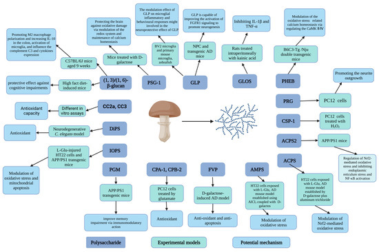 Multiple Metabolites Derived from Mushrooms and Their Beneficial Effect ...