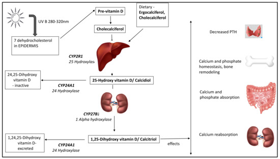 Vitamin D Deficiency in Chronic Childhood Disorders: Importance of ...