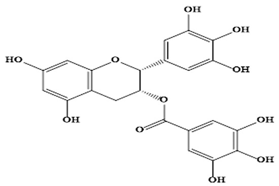 Therapeutic Activity of Green Tea Epigallocatechin-3-Gallate on ...