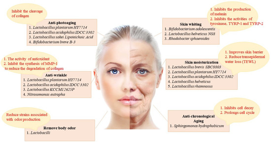 The Role of Probiotics in Skin Health and Related Gut–Skin Axis: A Review