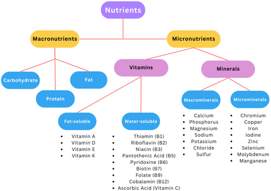 How Do Minerals, Vitamins, and Intestinal Microbiota Affect the ...