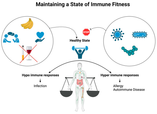 Targeted Application of Functional Foods as Immune Fitness Boosters in ...