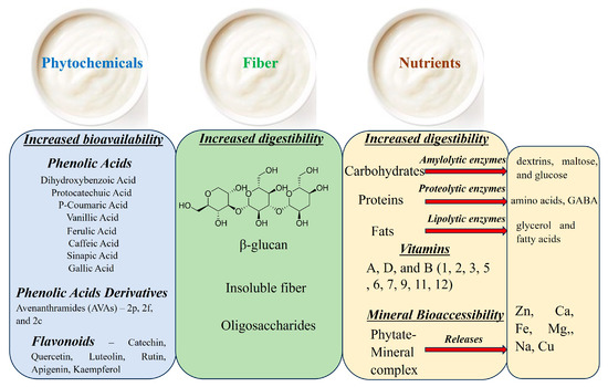 Fermented Oats as a Novel Functional Food