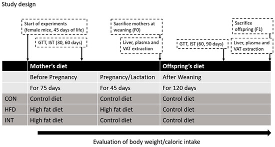 Effects on Fetal Metabolic Programming and Endocannabinoid System of a ...