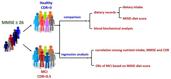 Evaluation of Dietary Intake in Individuals with Mild Cognitive Impairment