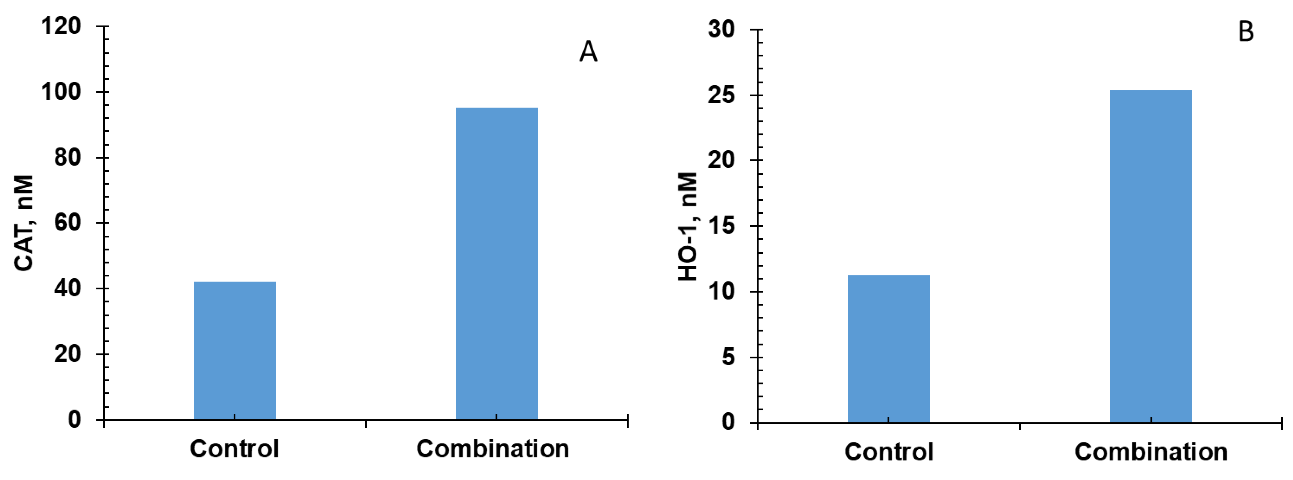 Attenuation of Aging-Related Oxidative Stress Pathways by Phytonutrients: A Computational ...
