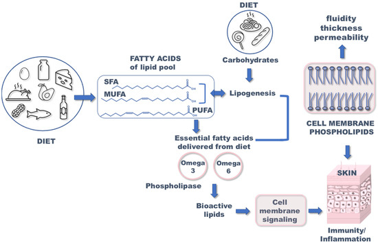 Fatty Acids Profile and the Relevance of Membranes as the Target of ...