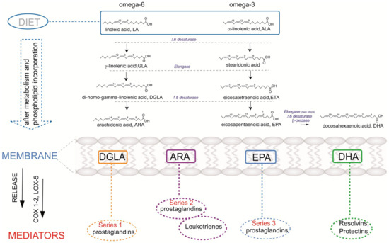 Fatty Acids Profile and the Relevance of Membranes as the Target of ...