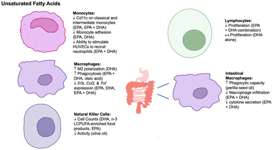 The Role of Lipids in the Regulation of Immune Responses