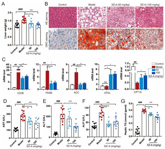 Integration of Transcriptomics and Lipidomics Profiling to Reveal the ...