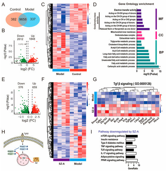 Integration of Transcriptomics and Lipidomics Profiling to Reveal the ...