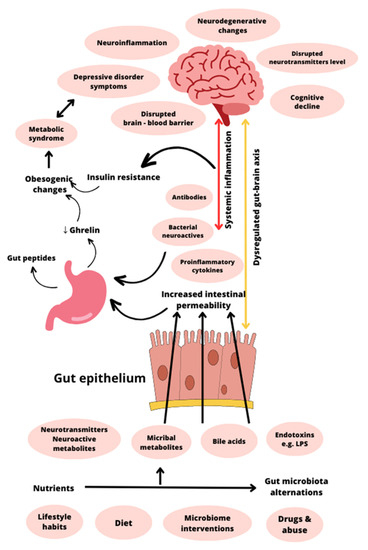 Ghrelin as a Biomarker of “Immunometabolic Depression” and Its ...