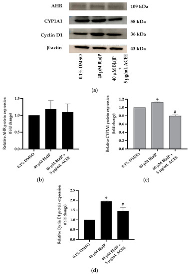 Nutrients | Free Full-Text | Protective Effect of Aquilaria crassna ...