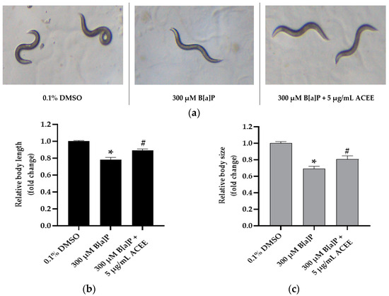 Nutrients | Free Full-Text | Protective Effect of Aquilaria crassna ...
