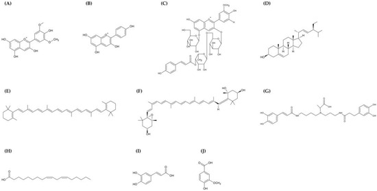 Black Goji Berry (Lycium ruthenicum Murray): A Review of Its ...