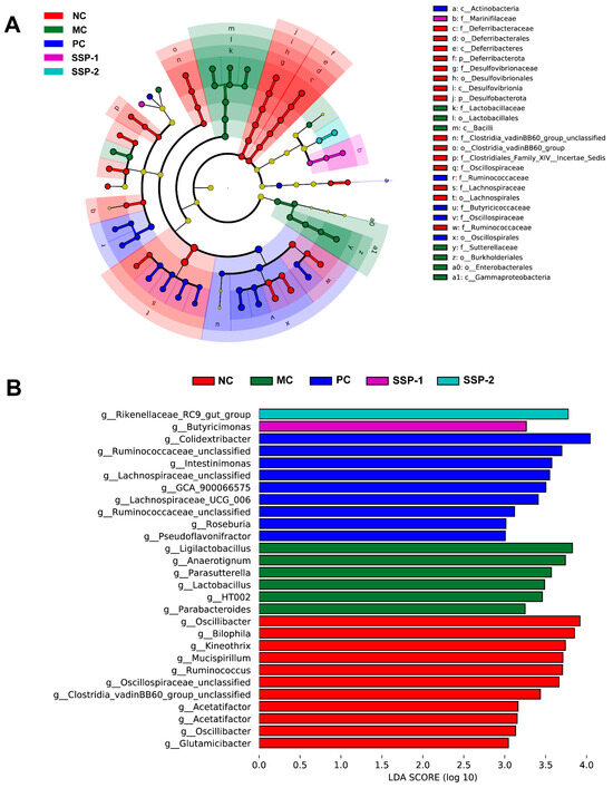 Gastrointestinal Fermentable Polysaccharide Is Beneficial in ...