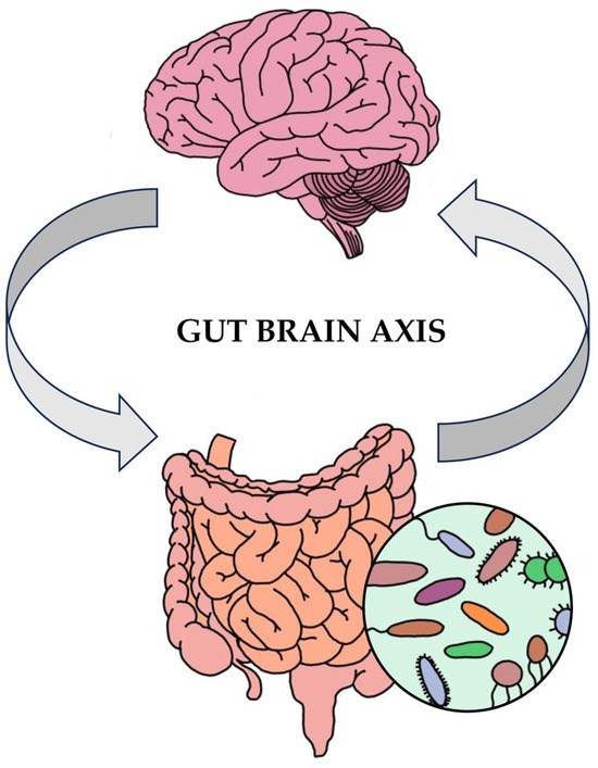 Nutrients | Free Full-Text | The Gut–Brain Axis in Schizophrenia: The ...