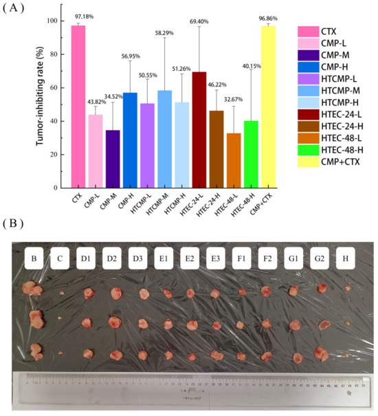 Antitumor Activity of Carboxymethyl Pachymaran with Different Molecular ...