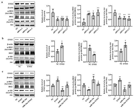 MicroRNA-34a Mediates High-Fat-Induced Hepatic Insulin Resistance by ...