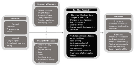 What Is Food Noise? A Conceptual Model of Food Cue Reactivity