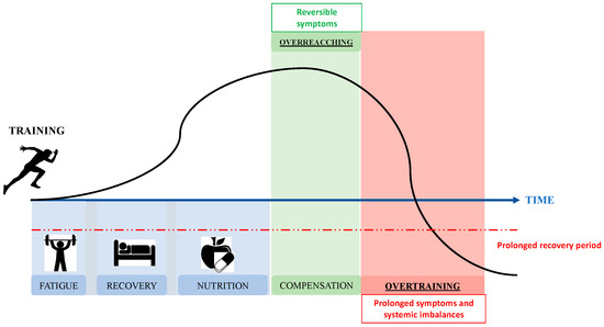 The Potential Role of Nutrition in Overtraining Syndrome: A Narrative ...
