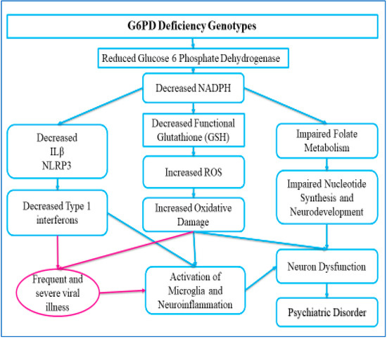 The Association between Glucose 6-Phosphate Dehydrogenase Deficiency ...