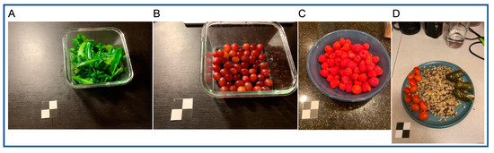 Surveying Nutrient Assessment with Photographs of Meals (SNAPMe): A ...