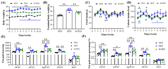 Diet Change Improves Obesity and Lipid Deposition in High-Fat Diet ...