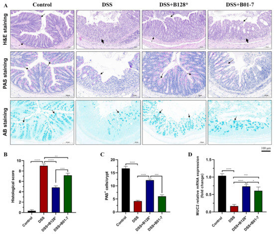 A Ropy Exopolysaccharide-Producing Strain Bifidobacterium ...