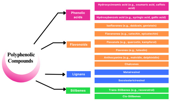 Nutraceutical Properties of Syringic Acid in Civilization Diseases—Review