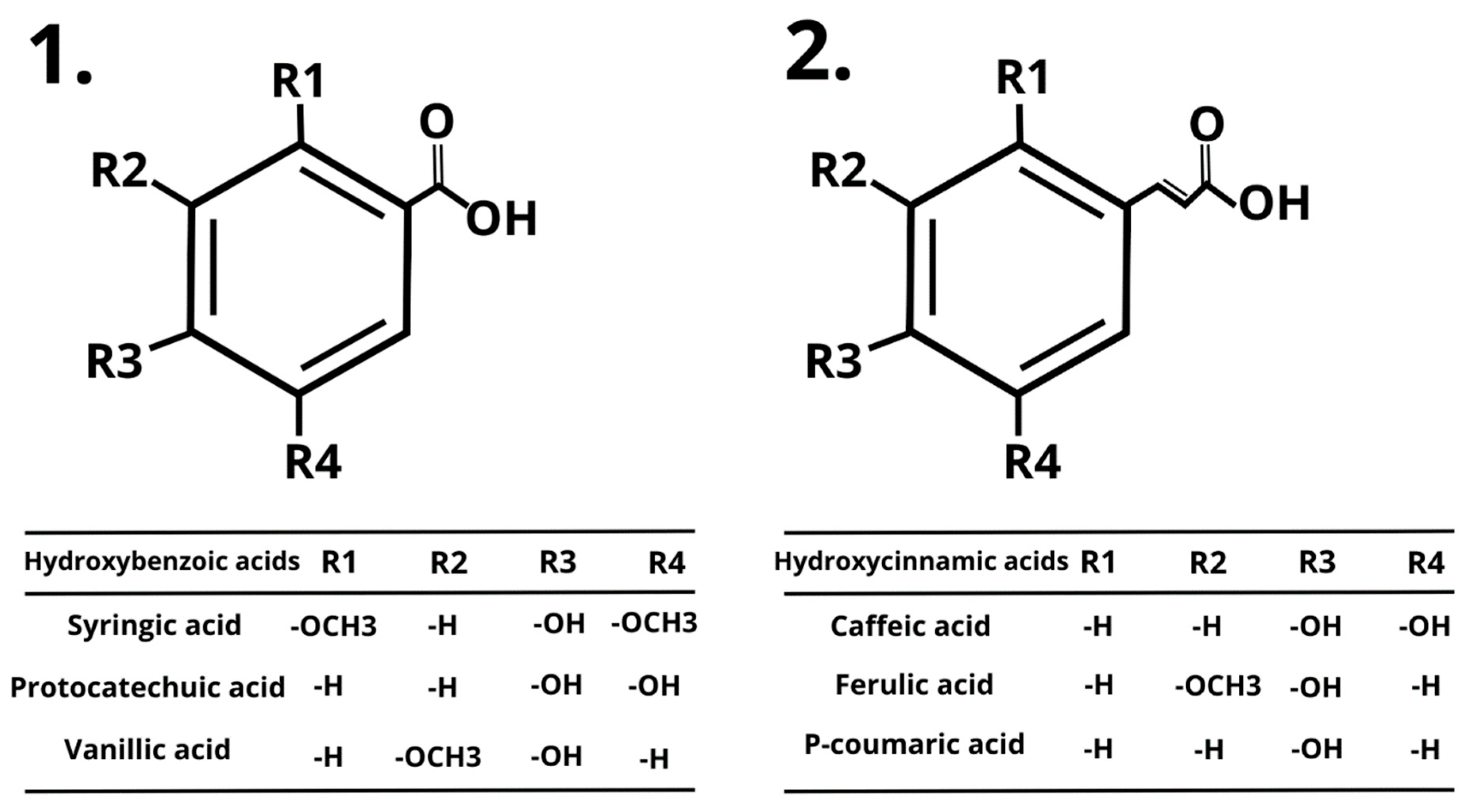 Nutraceutical Properties of Syringic Acid in Civilization Diseases—Review