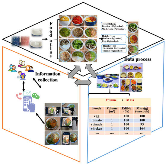 The Validity and Feasibility of Utilizing the Photo-Assisted Dietary ...