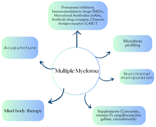 Conceptualizing an Integrative Multiple Myeloma Care: The Role of ...