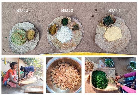Aligning Santal Tribe Menu Templates with EAT-Lancet Commission’s ...
