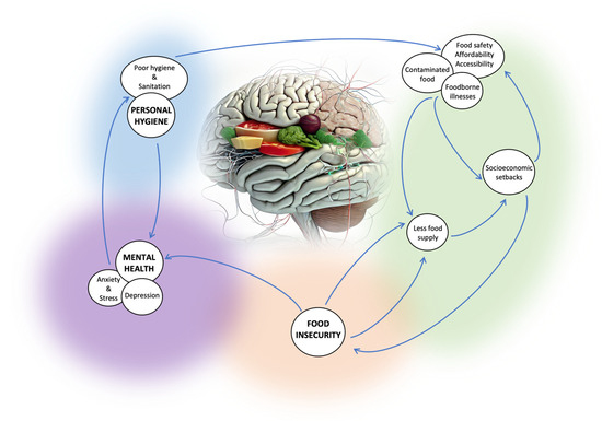 Nourishing the Mind: How Food Security Influences Mental Wellbeing