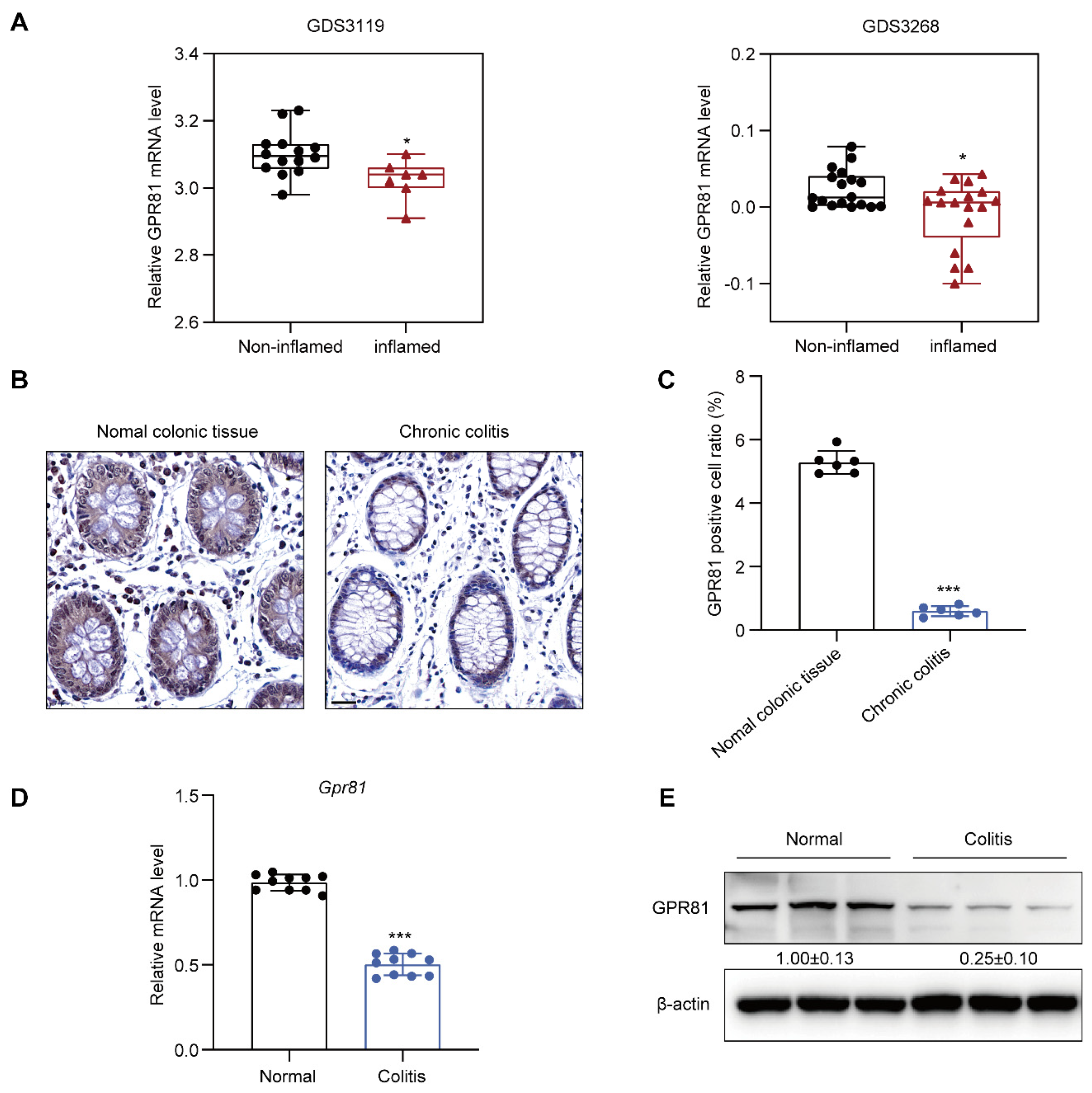 Lactate Protects Intestinal Epithelial Barrier Function from Dextran ...