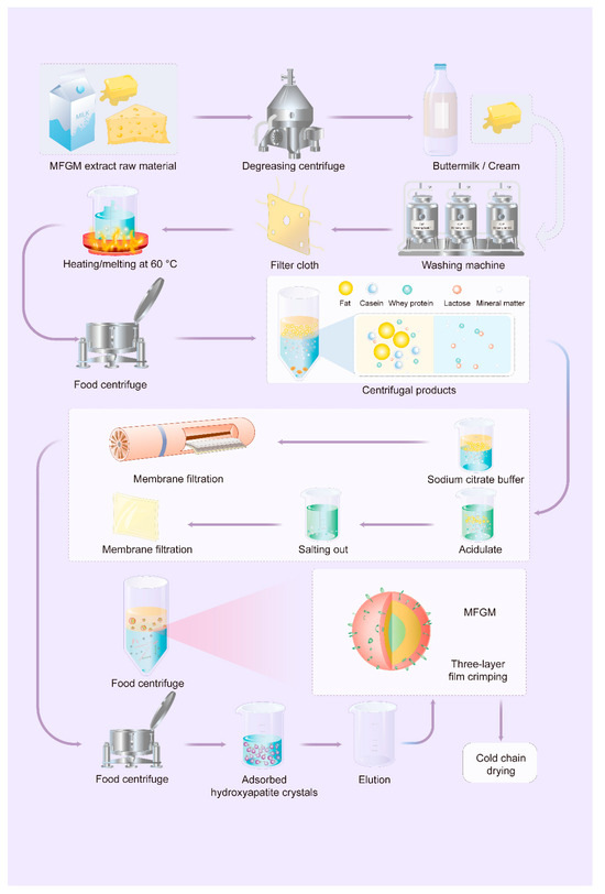 Structure, Biological Functions, Separation, Properties, and Potential ...
