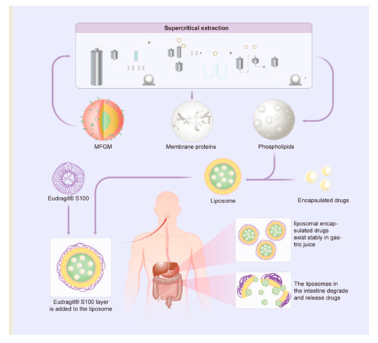 Structure, Biological Functions, Separation, Properties, and Potential ...