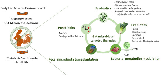 Nutritional Approaches Targeting Gut Microbiota in Oxidative-Stress-Associated Metabolic ...